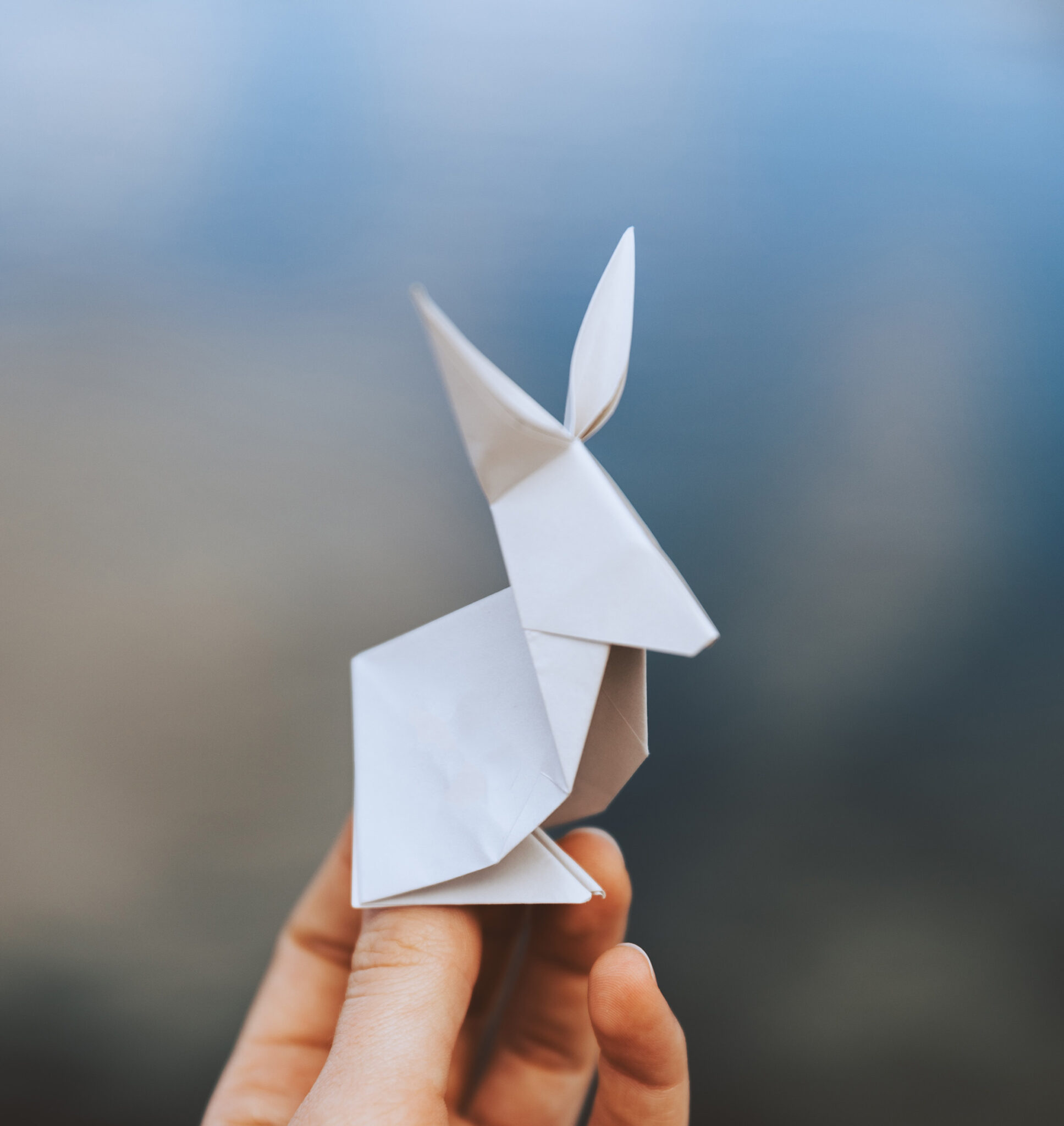 Calligraphy, Origami, and Pom Pom Rabbits | Hudson River Museum