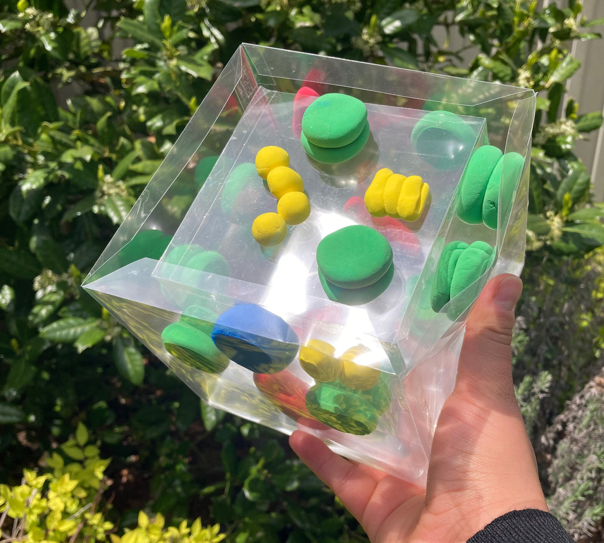 Family Science Workshop: Tiny but Mighty Plant Cells | Hudson River Museum