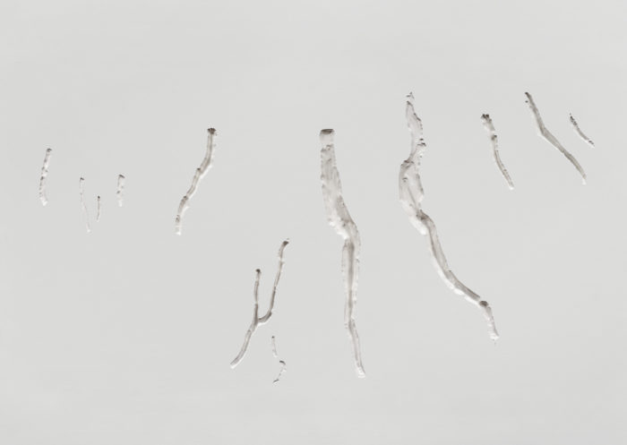 Maya Lin | Hudson River Museum